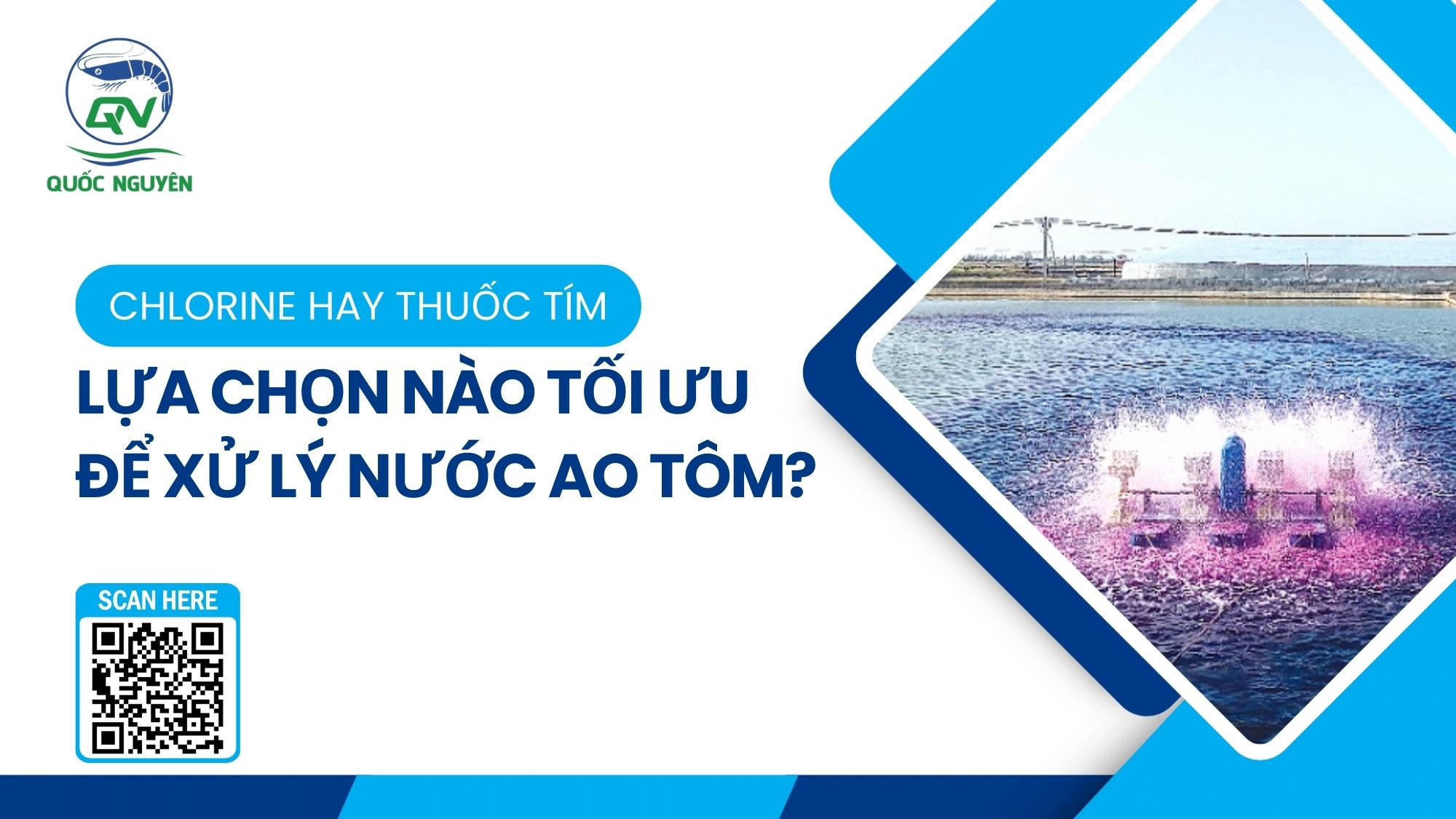 Chlorine hay Thuốc Tím: Lựa Chọn Nào Để Xử Lý Nước Ao Tôm?
