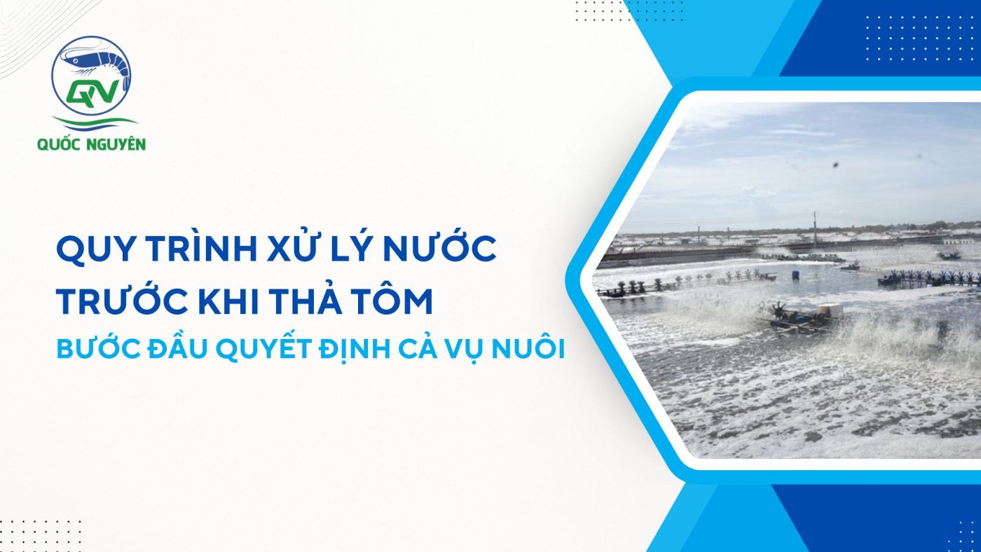 Xử lý nước trước khi thả tôm: Quy trình 5 bước chuẩn kỹ thuật