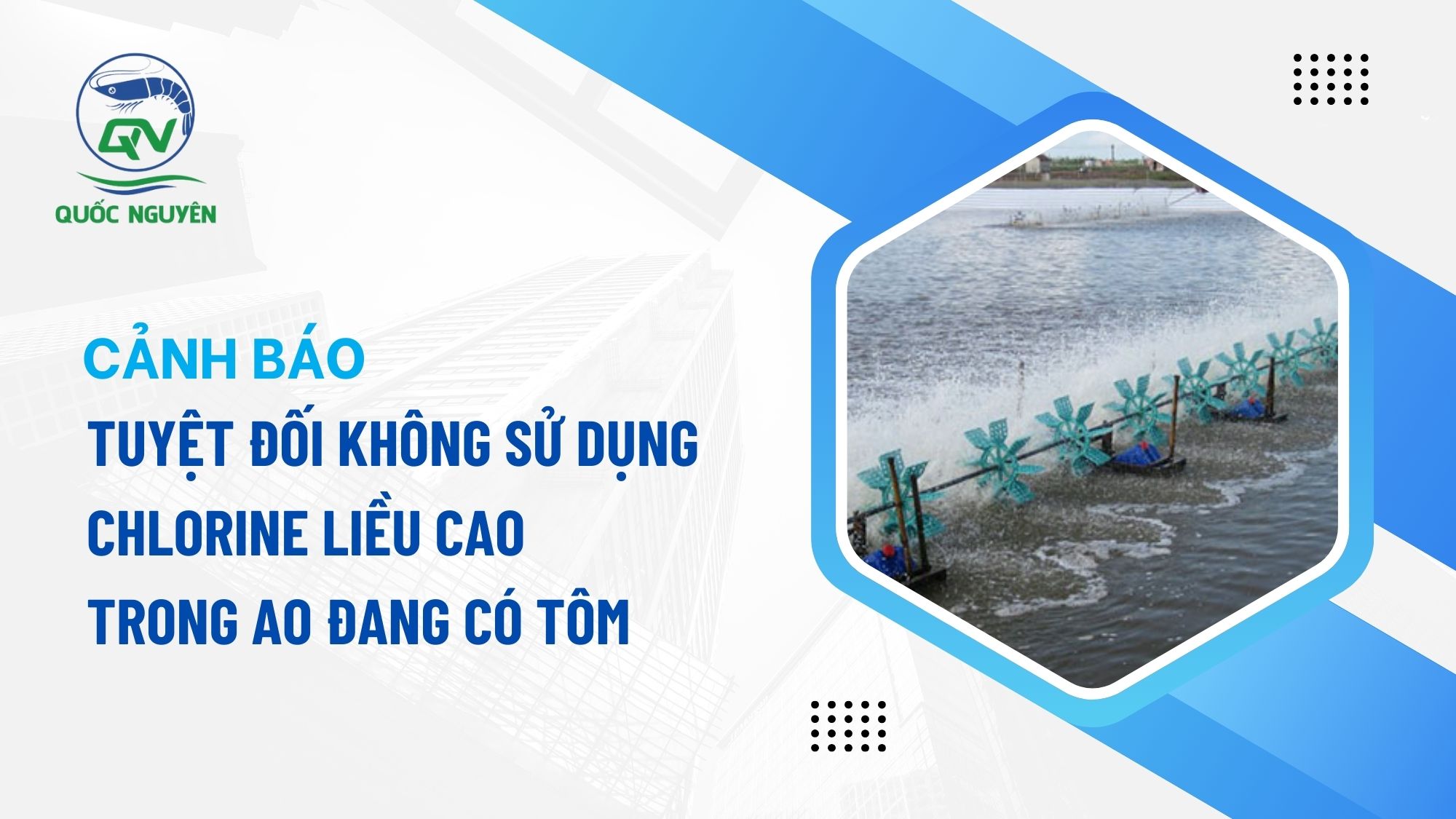 Không sử dụng Chlorine liều cao trong ao đang có tôm